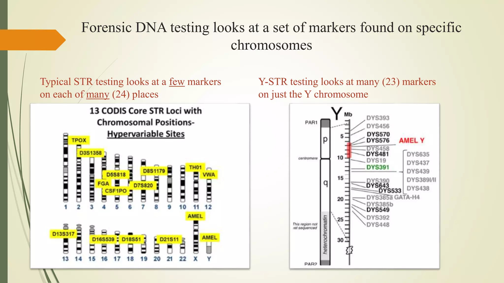 Dna typing methods | PPTX