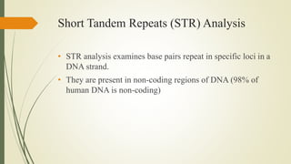 Dna typing methods | PPTX