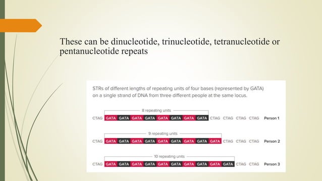 Dna typing methods | PPTX