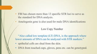 Dna typing methods | PPTX