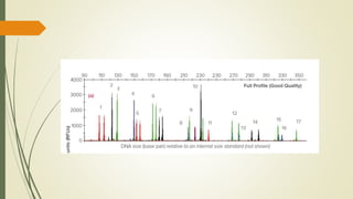 Dna typing methods | PPTX