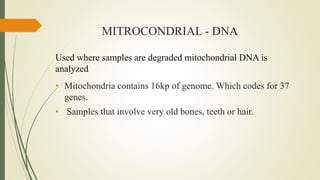 Dna typing methods | PPTX