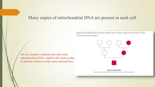 Dna typing methods | PPTX