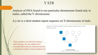 Dna typing methods | PPTX