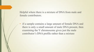 Dna typing methods | PPTX