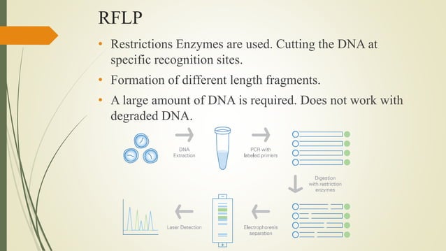 Dna typing methods | PPTX