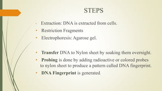 Dna typing methods | PPTX