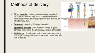Dna vaccines | PPT