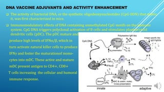 DNA Vaccines - Copy.pptx
