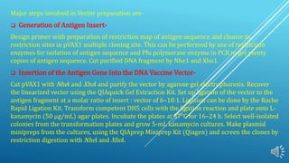 DNA Vaccines - Copy.pptx