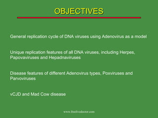 Dna Virus | PPT