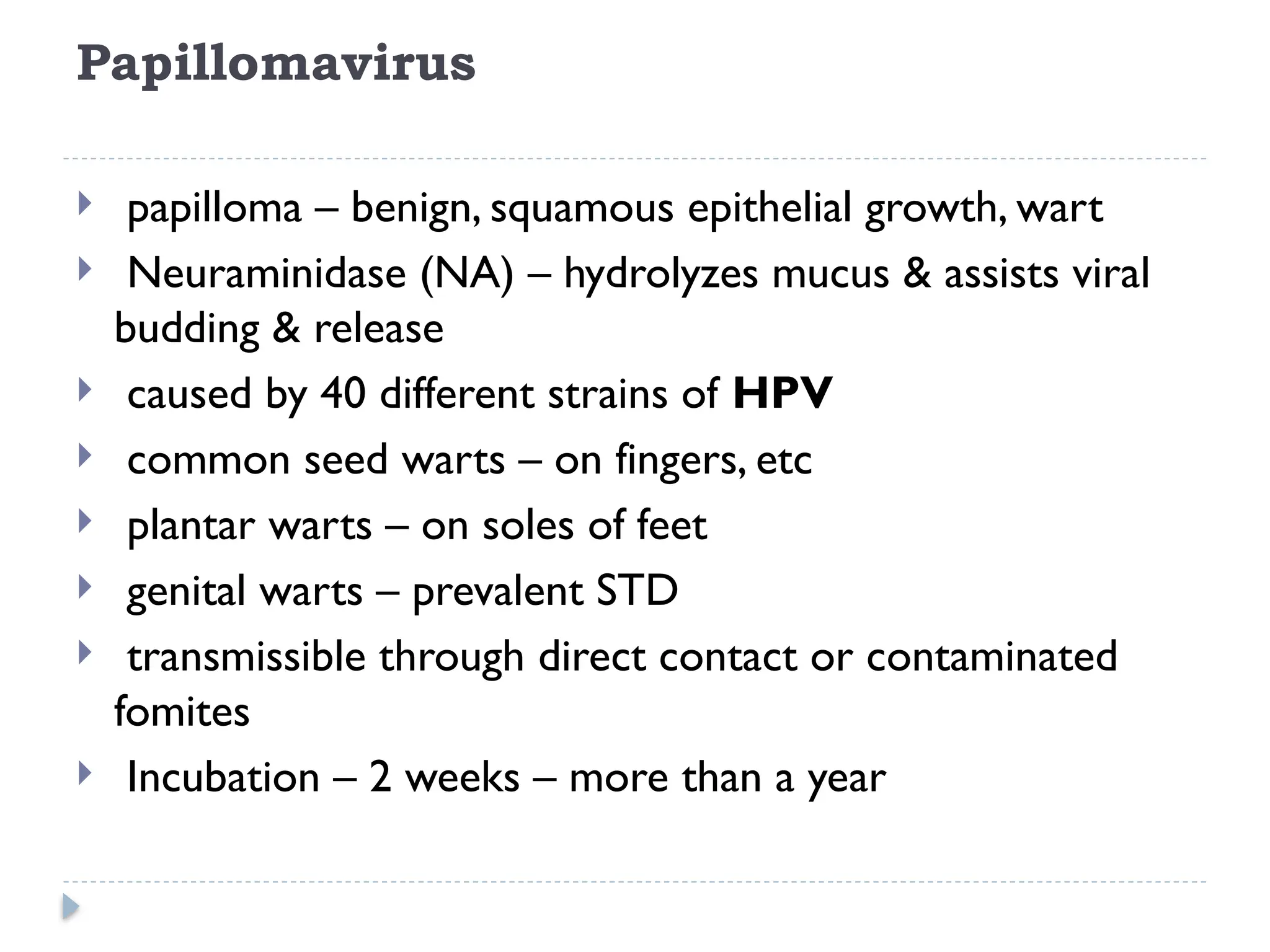 DNA Viruses-1.pptx POWERPOINT PRESENTATION | PPT