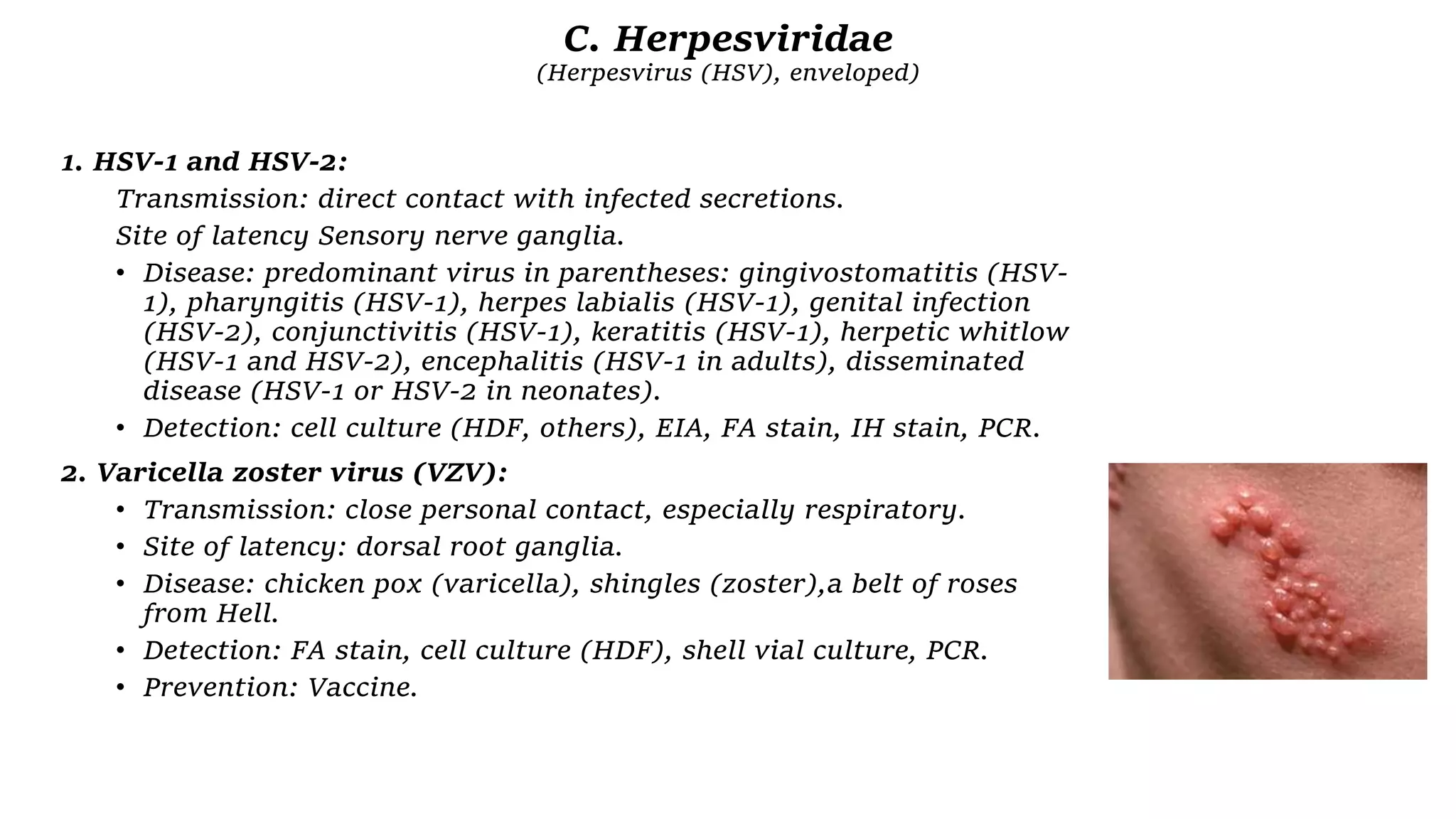 DNA Viruses - Microbiology | PPTX