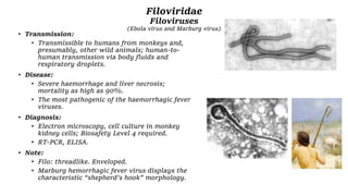 DNA Viruses - Microbiology | PPTX