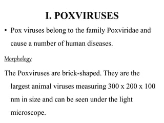 DNA VIRUSES.pptx