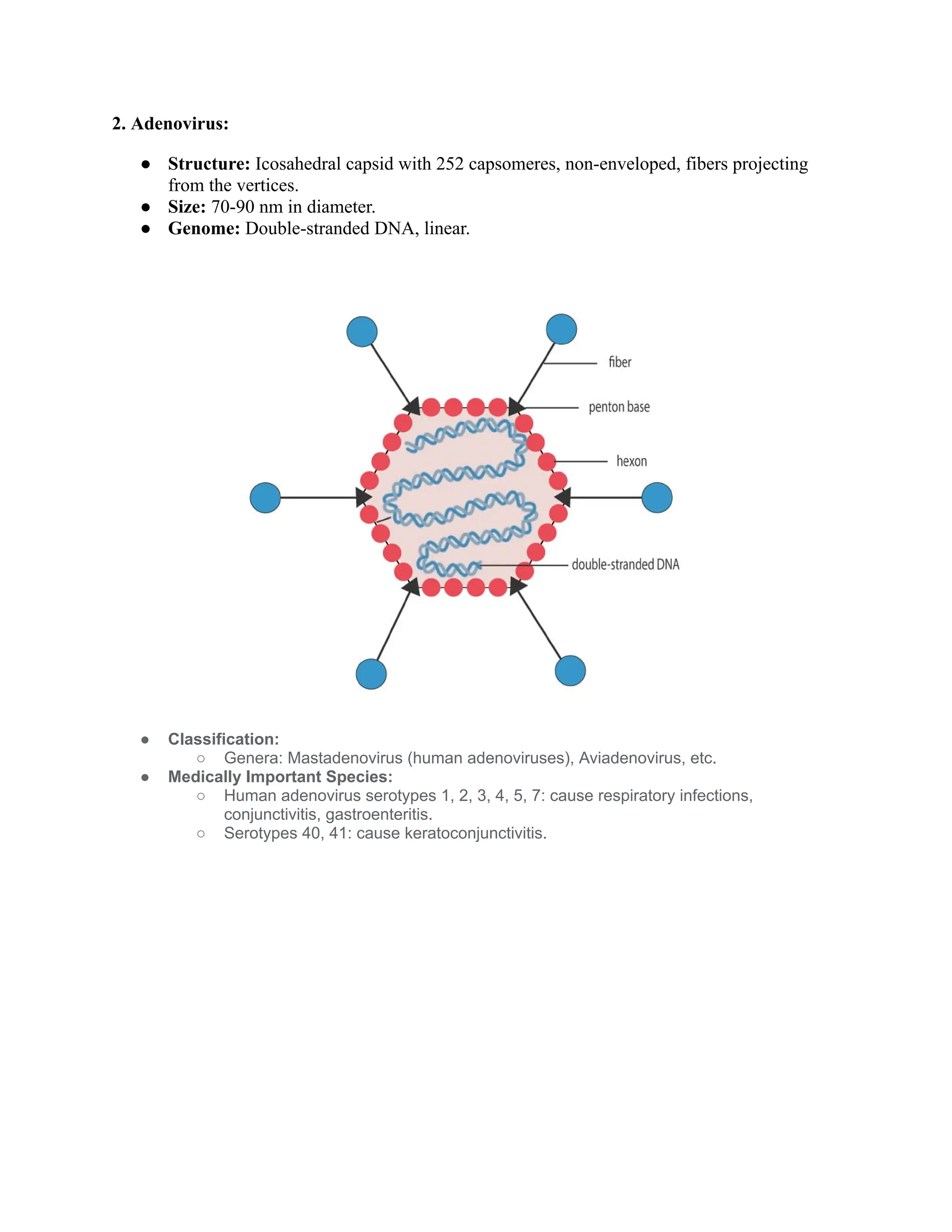 DNA Virus Comparison and Characteristics | PDF | Infectious Diseases ...