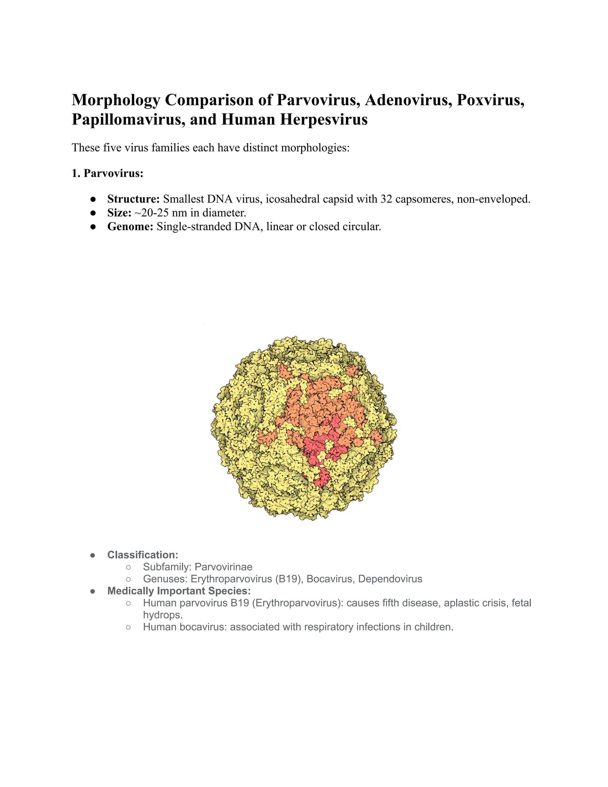 DNA Virus Comparison and Characteristics | PDF