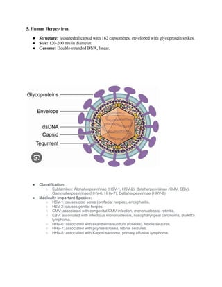 DNA Virus Comparison and Characteristics | PDF | Infectious Diseases ...