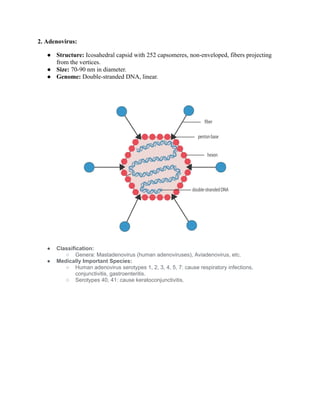 DNA Virus Comparison and Characteristics | PDF
