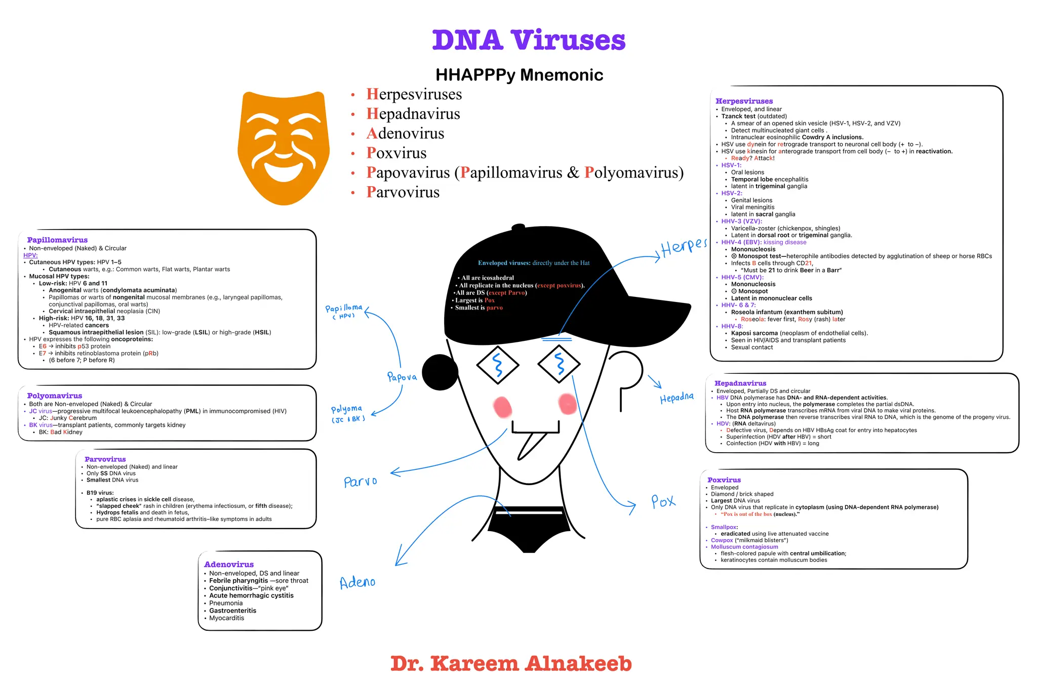 DNA Viruses: Families, Features, and Diseases | PDF