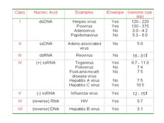 Group of Dna viruses and viral vectors | PPT