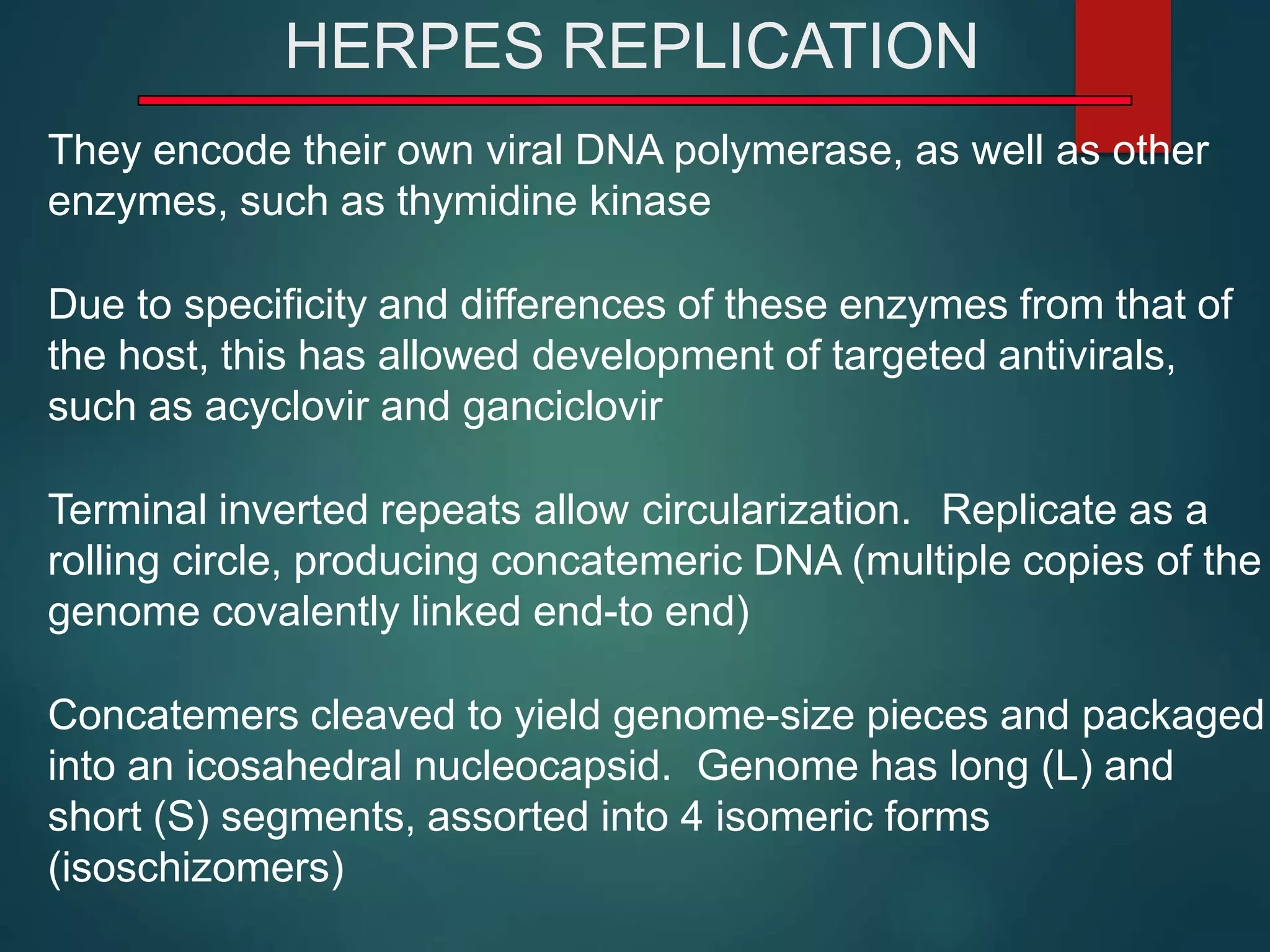 DNA VIRUS REPLICATION | PPTX
