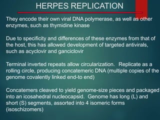 DNA VIRUS REPLICATION | PPTX