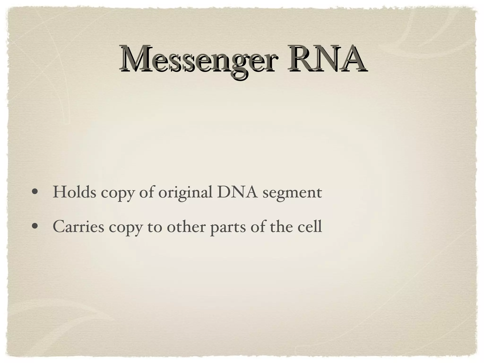 DNA vs. RNA | PPT