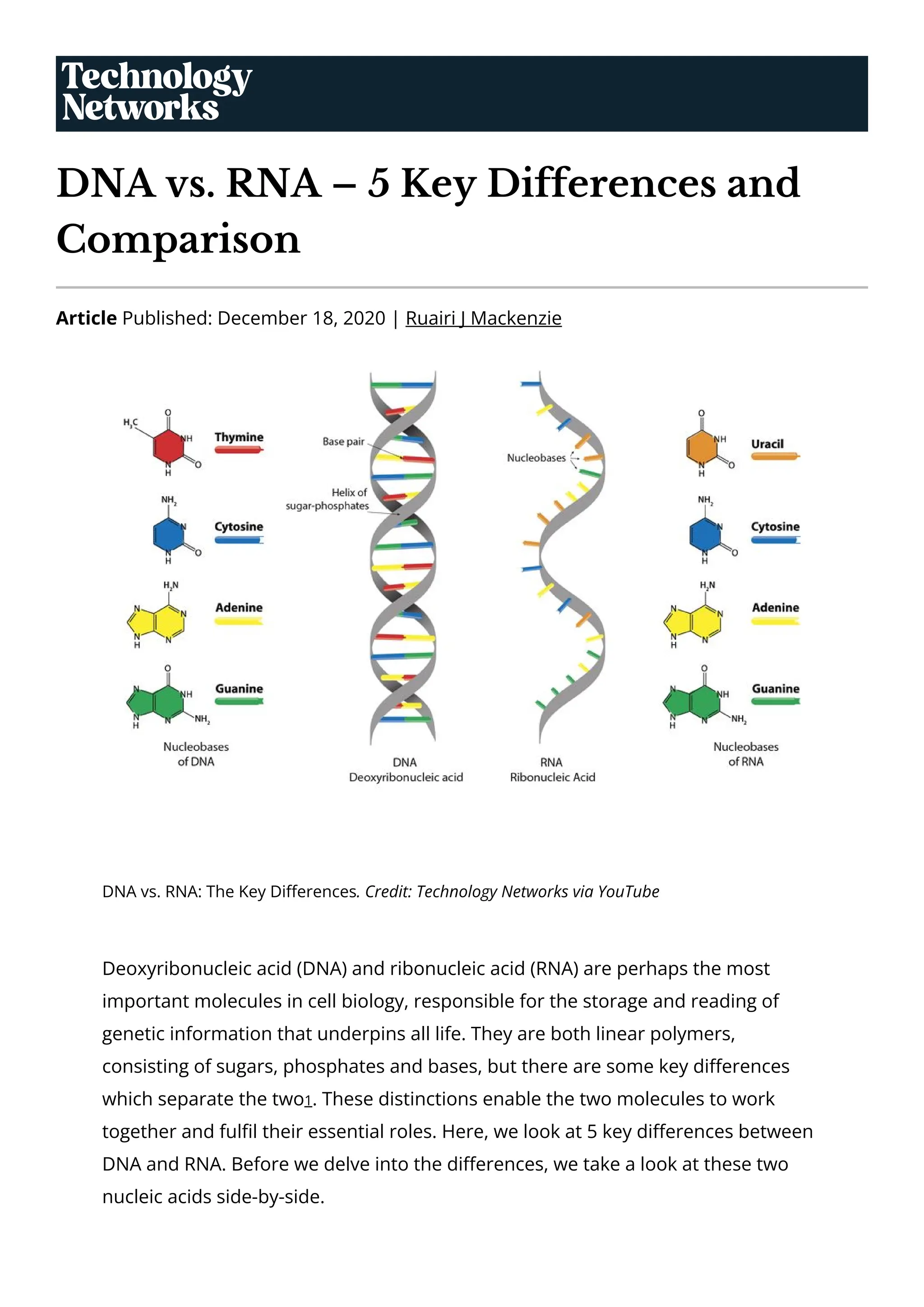 DNA vs. RNA 5 Key Differences and Comparison.pdf