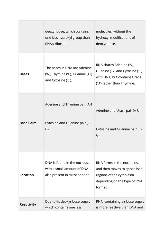 DNA vs. RNA 5 Key Differences and Comparison.pdf