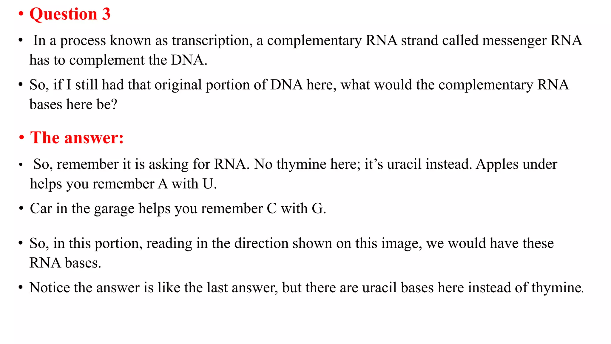 Dna vs rna | PPT