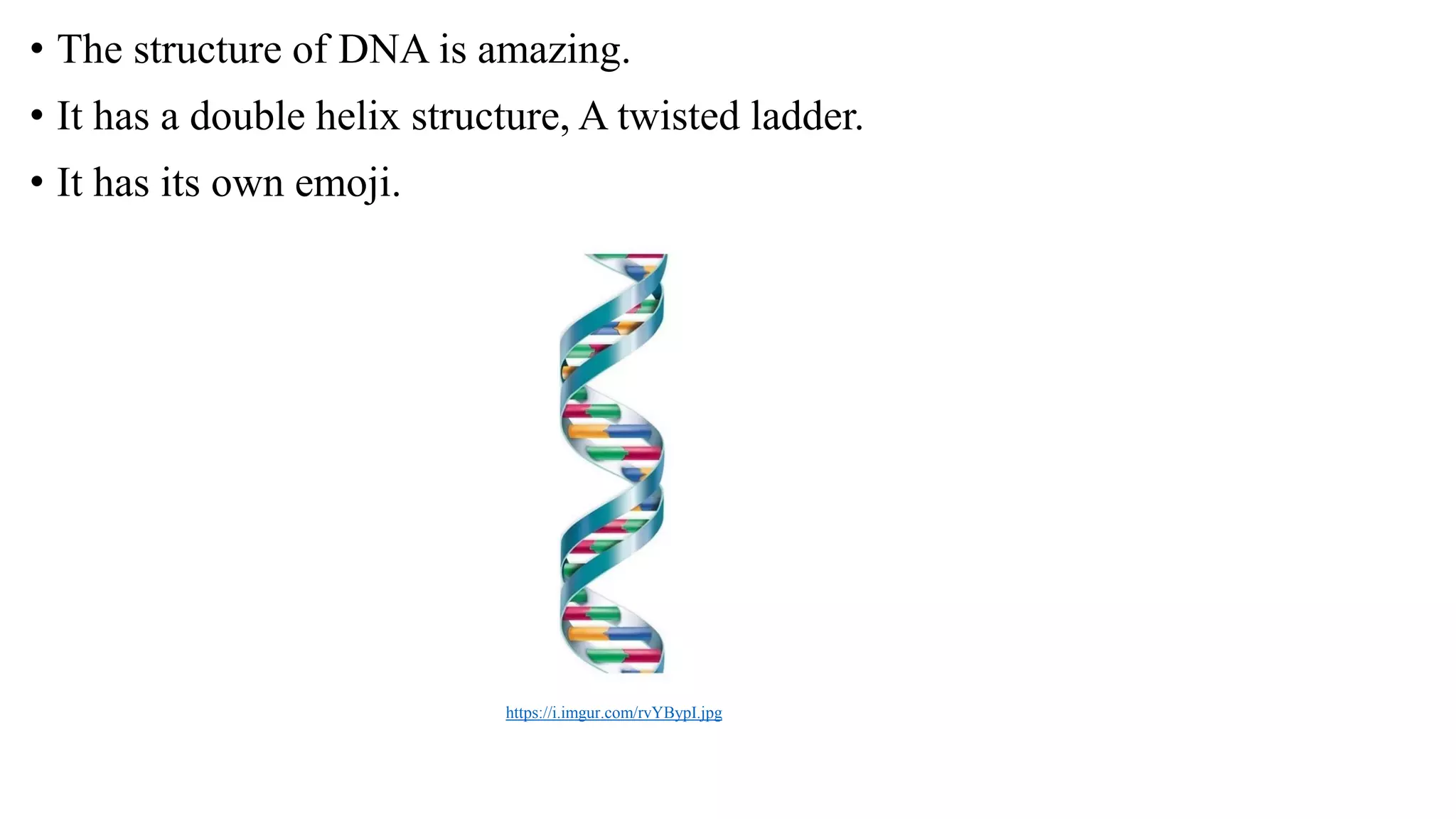 Dna vs rna | PPT