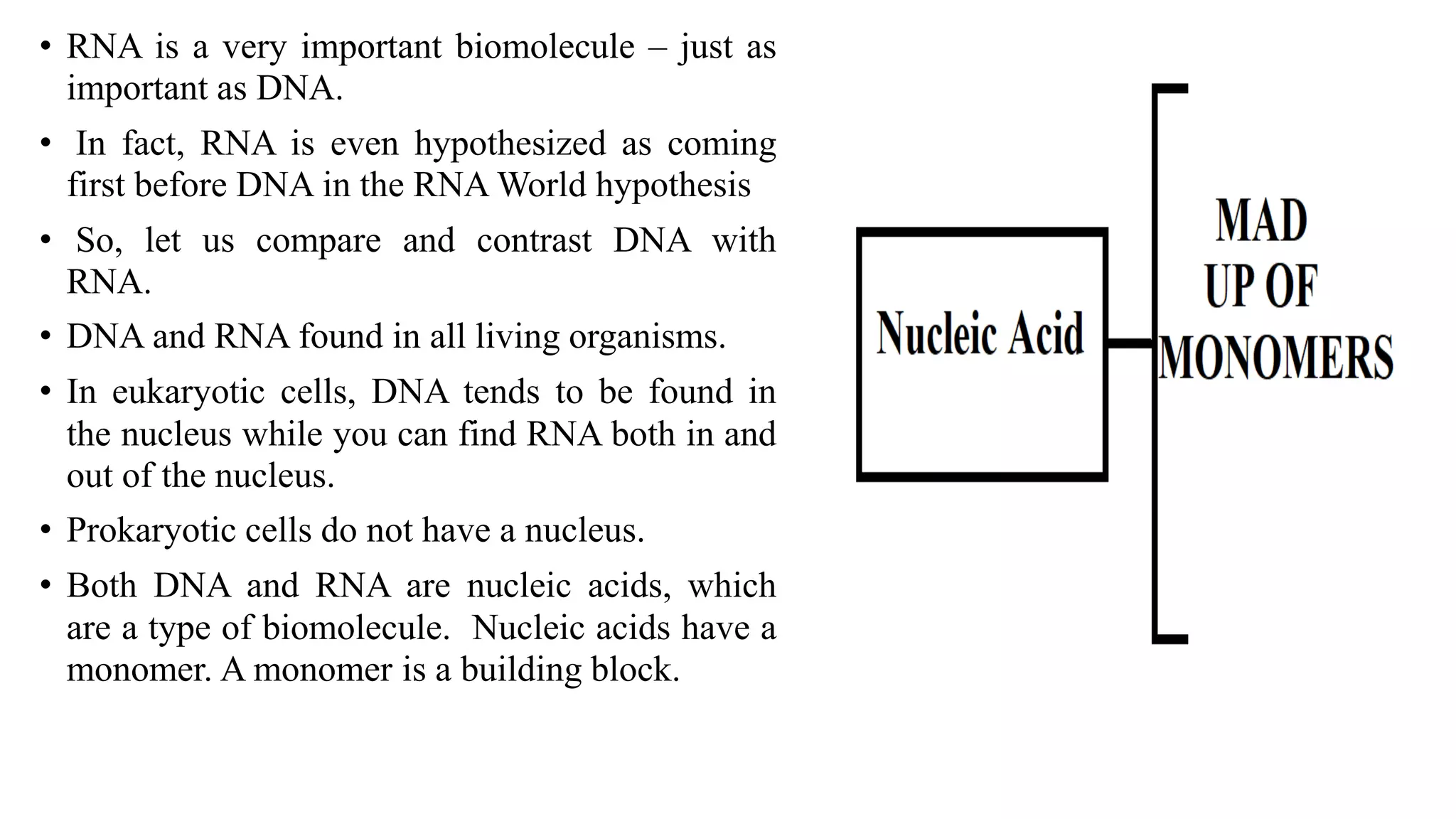 Dna vs rna | PPT