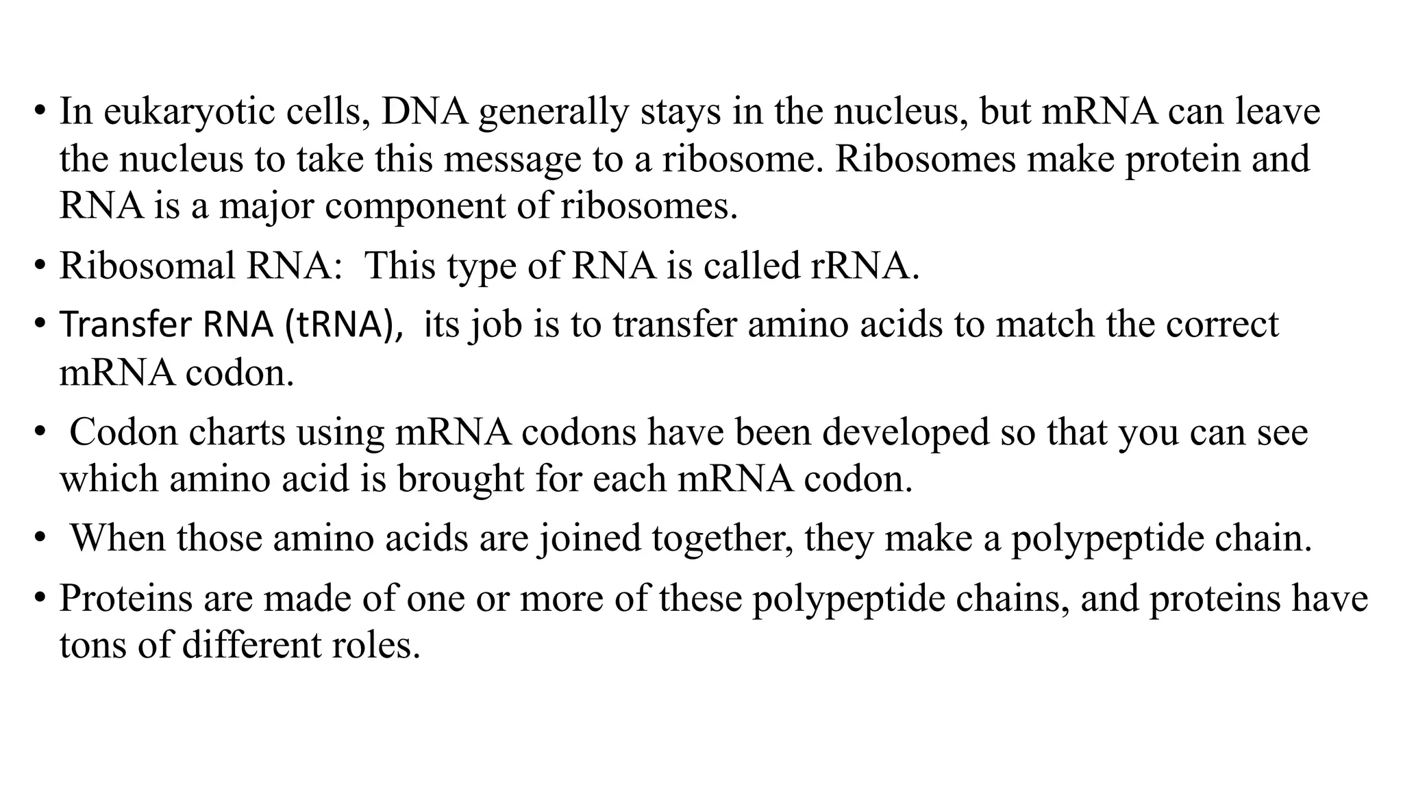 Dna Vs Rna Ppt 1611