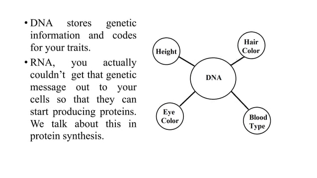 Dna vs rna | PPT
