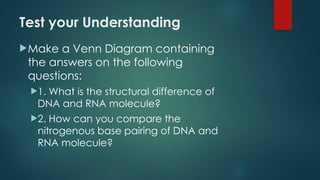 DNA vs RNA with good activity and engage | PPTX