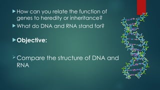 DNA vs RNA with good activity and engage | PPTX