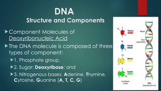 DNA vs RNA with good activity and engage | PPTX