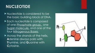 DNA vs RNA with good activity and engage | PPTX