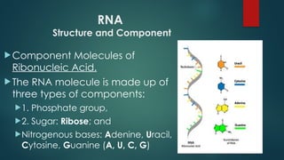 DNA vs RNA with good activity and engage | PPTX