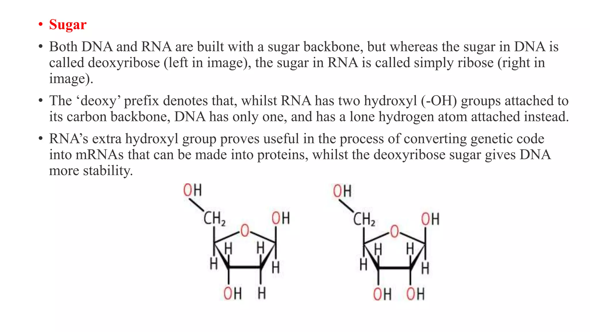 DNA vs RNA and Comparison.pptx