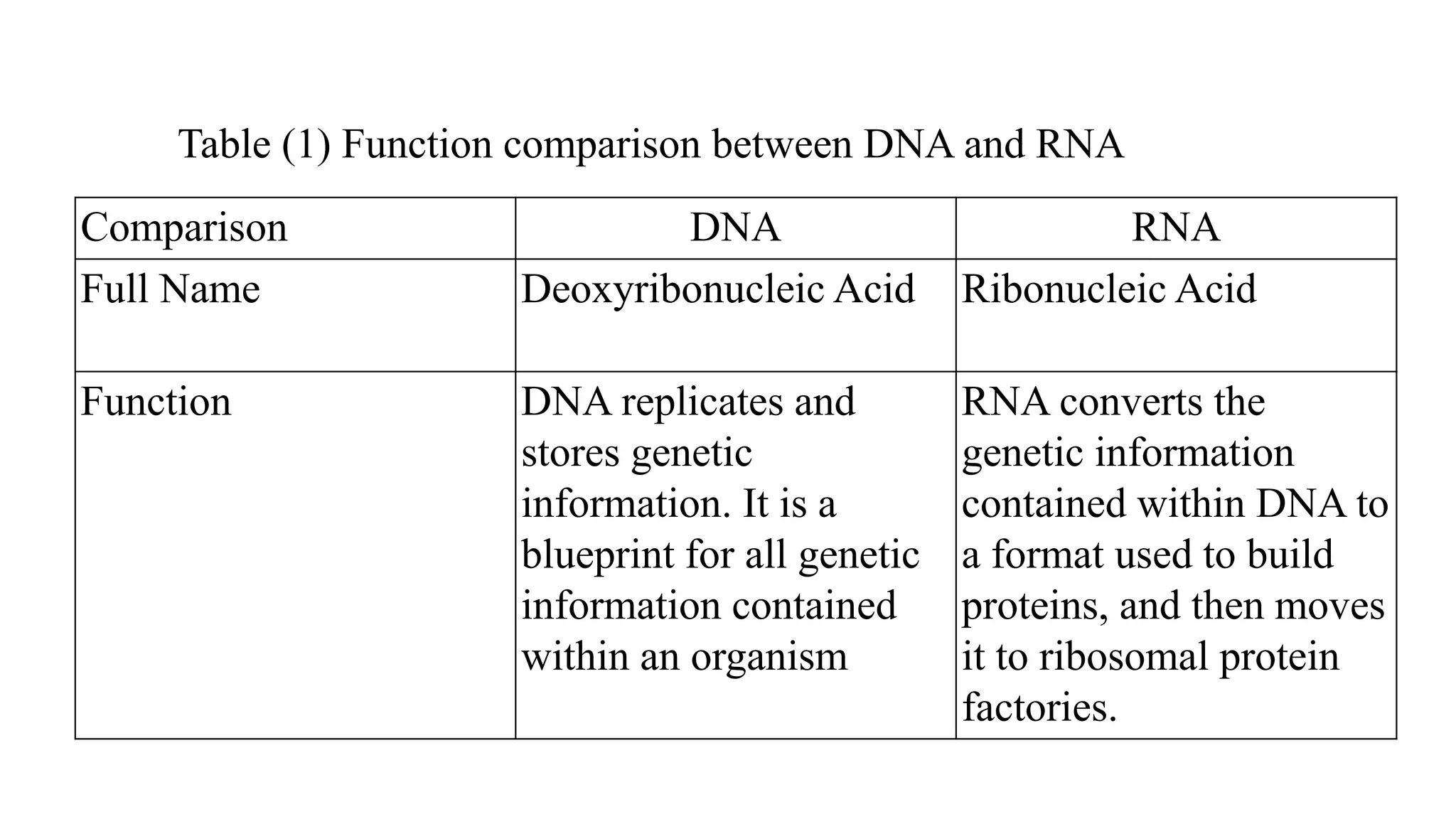 DNA vs RNA and Comparison.pptx
