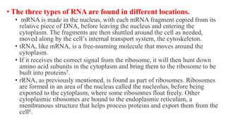 DNA vs RNA and Comparison.pptx