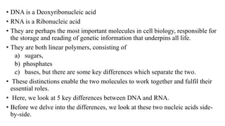 DNA vs RNA and Comparison.pptx