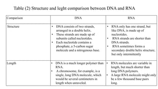 DNA vs RNA and Comparison.pptx
