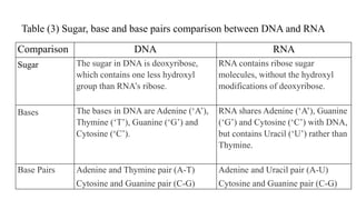 DNA vs RNA and Comparison.pptx