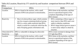DNA vs RNA and Comparison.pptx