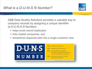 D&B Business Verification API Code Sample in C# | PPTX | Databases ...