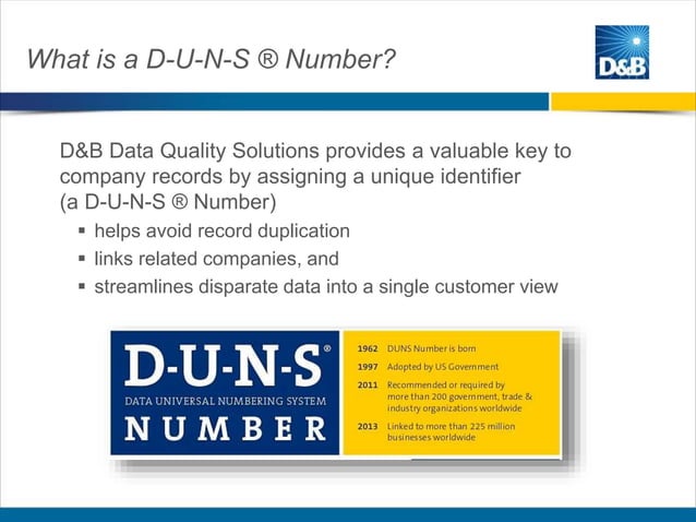 D&B Business Verification API Code Sample in C# | PPT