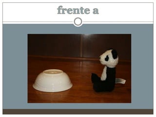 Dónde está el oso | PPTX | South America Travel | Travel Locations